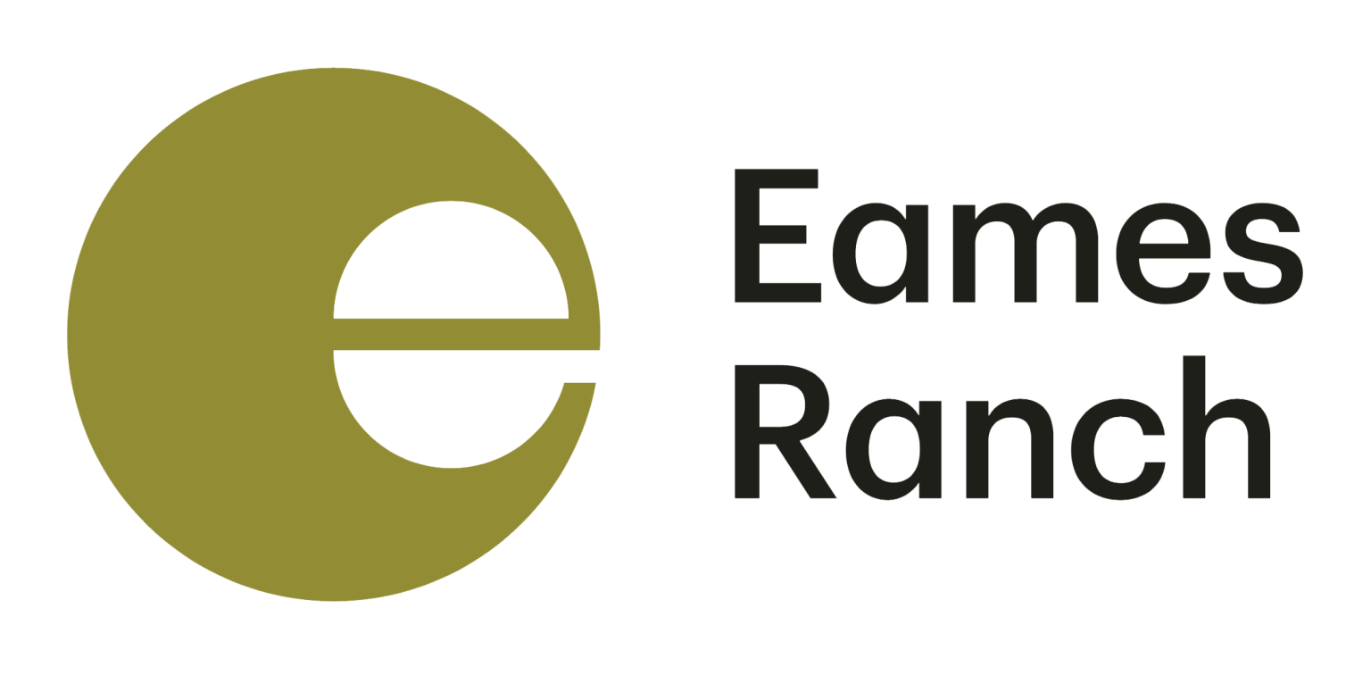 Eames Institute - Our Community Gathering Place